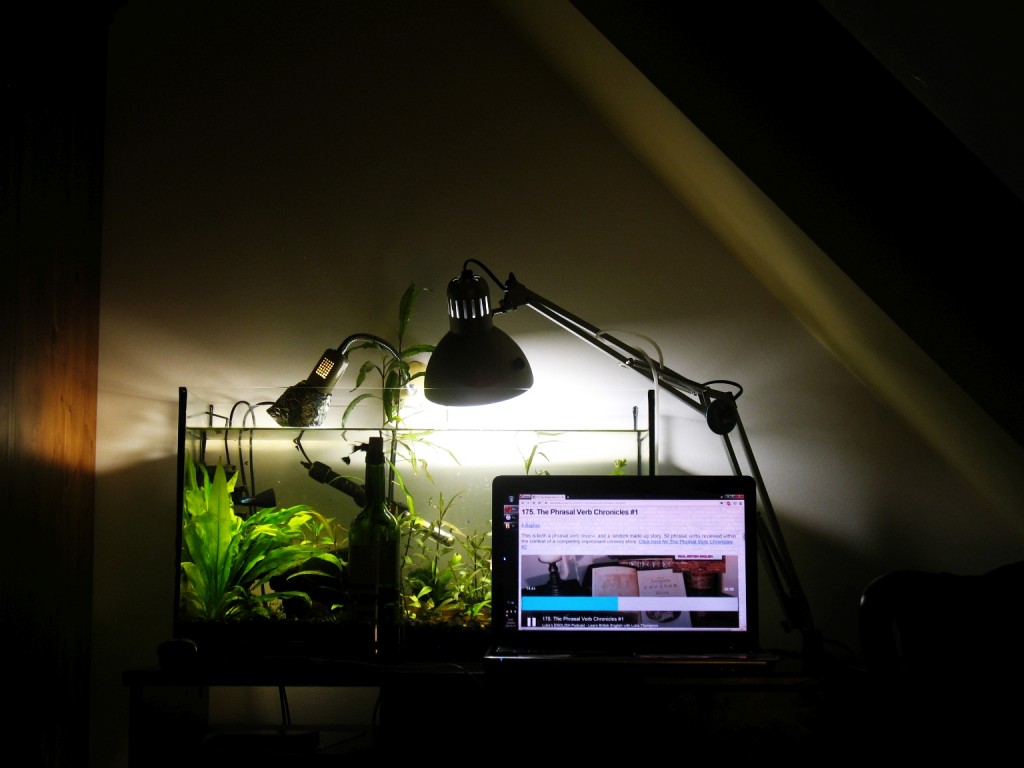 Mateusz from Poland – and his LEP fish | Luke’s ENGLISH Podcast