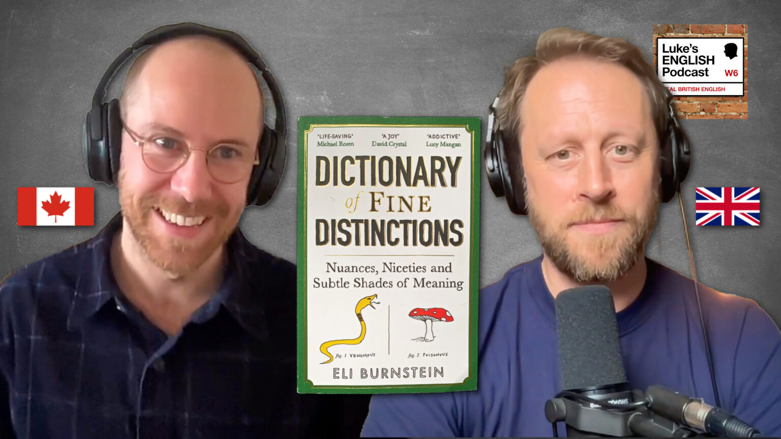 Fine Distinctions & Subtle Shades of Meaning (with Eli Burnstein) [960 ...